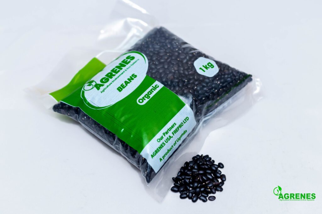 Black Turtle Beans - AGRENES